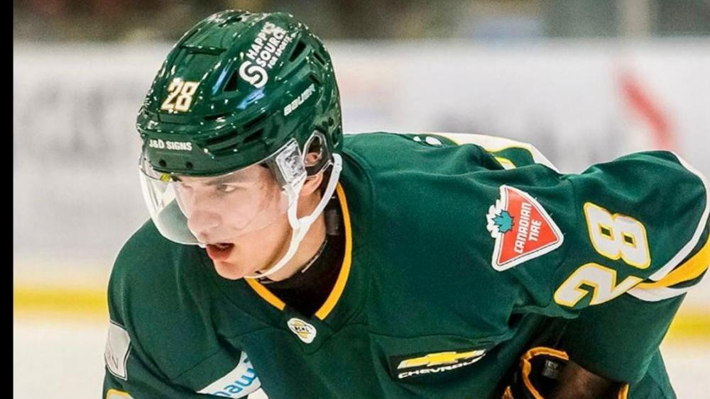 Zeit der Finnen vorbei: Cavs holen neue Ausländer - AlpsHL | SportNews.bz